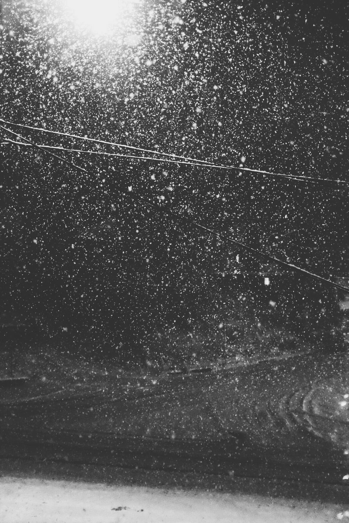 street.view — jaime bird