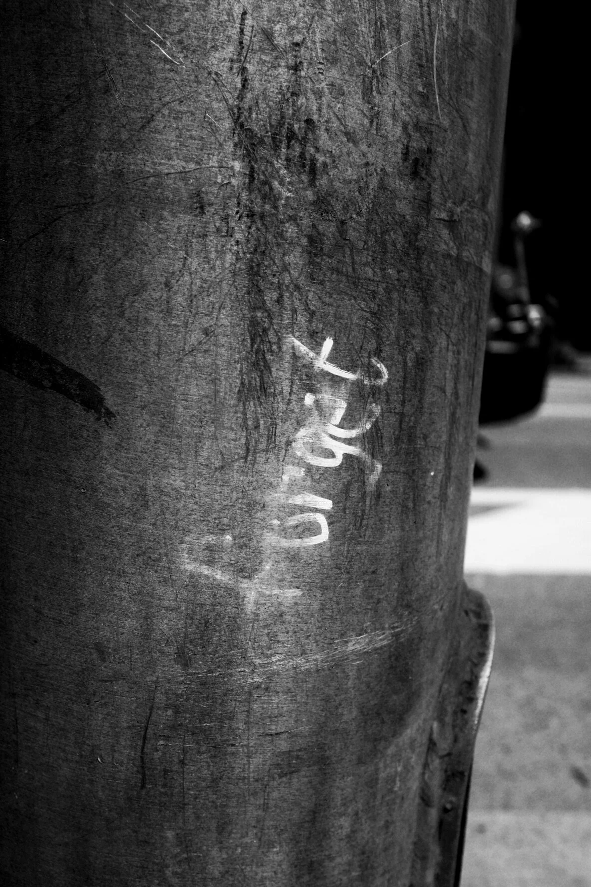 black.white — jaime bird