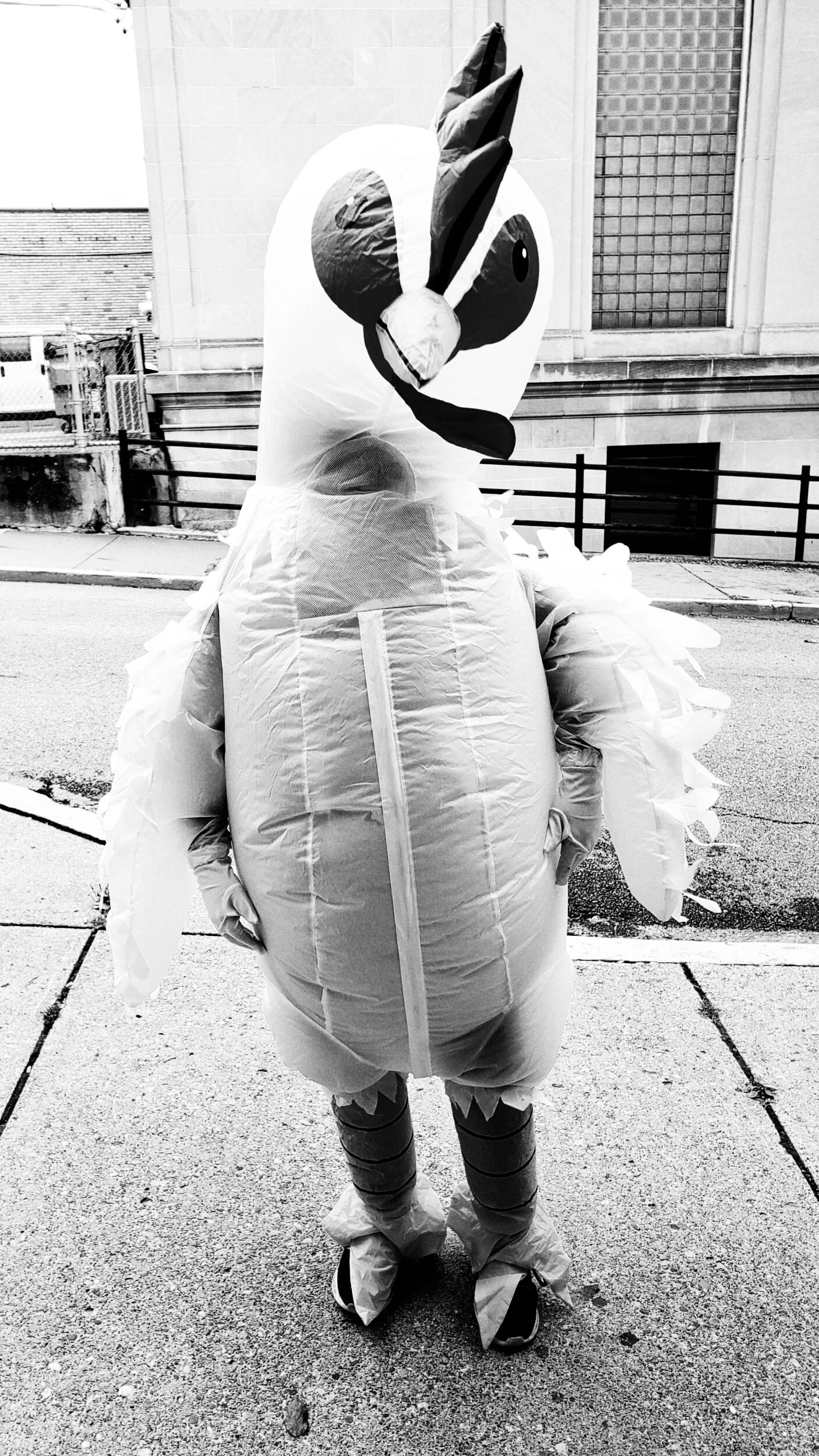 street.portraits — jaime bird