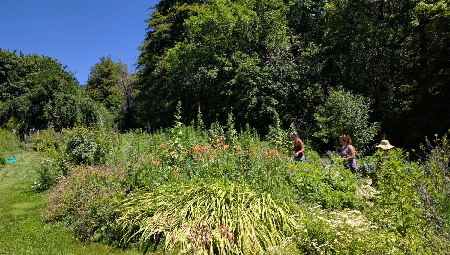 Trillium Oregon - Gallery