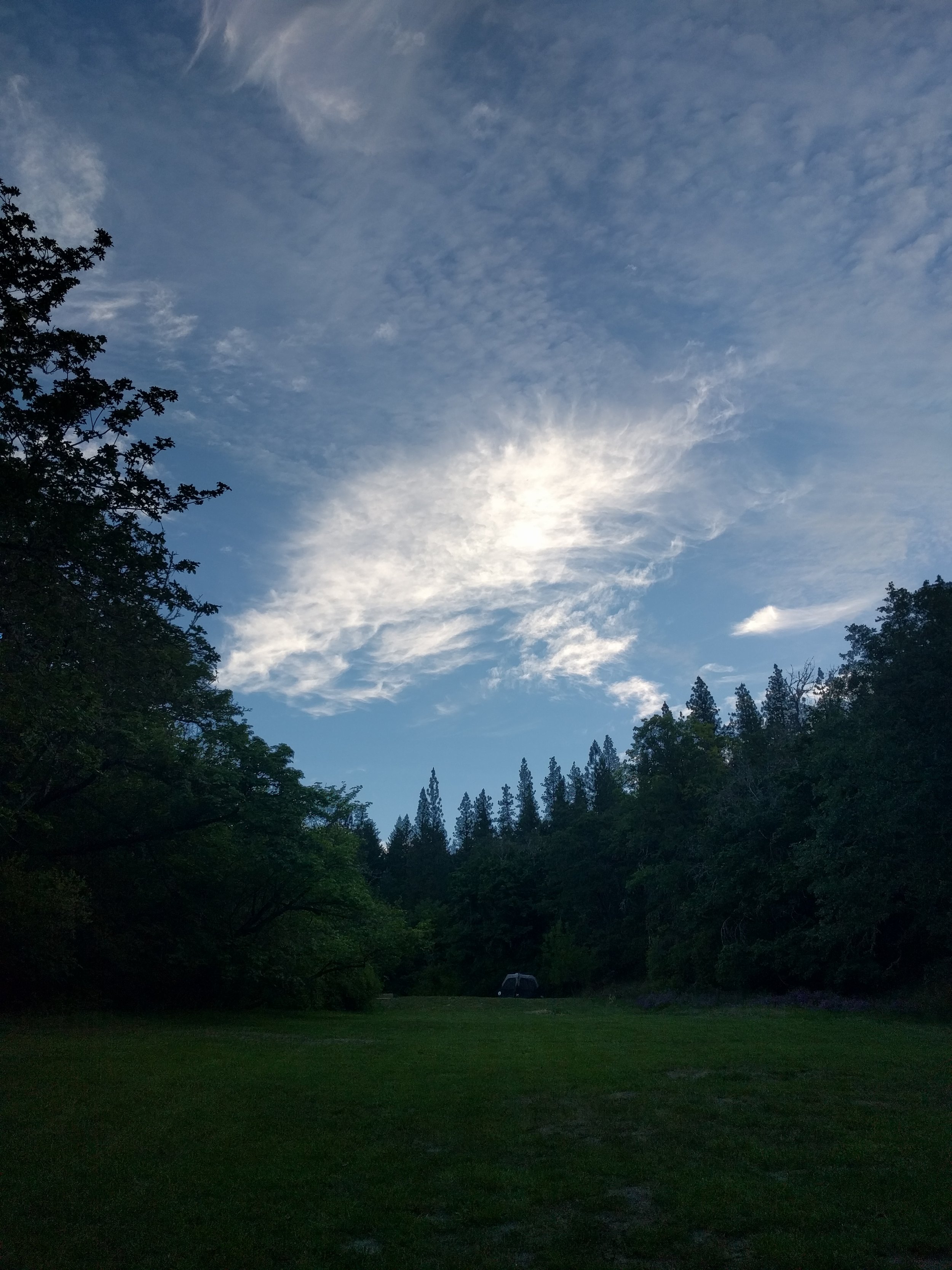 Trillium Oregon - Wizdome Gallery