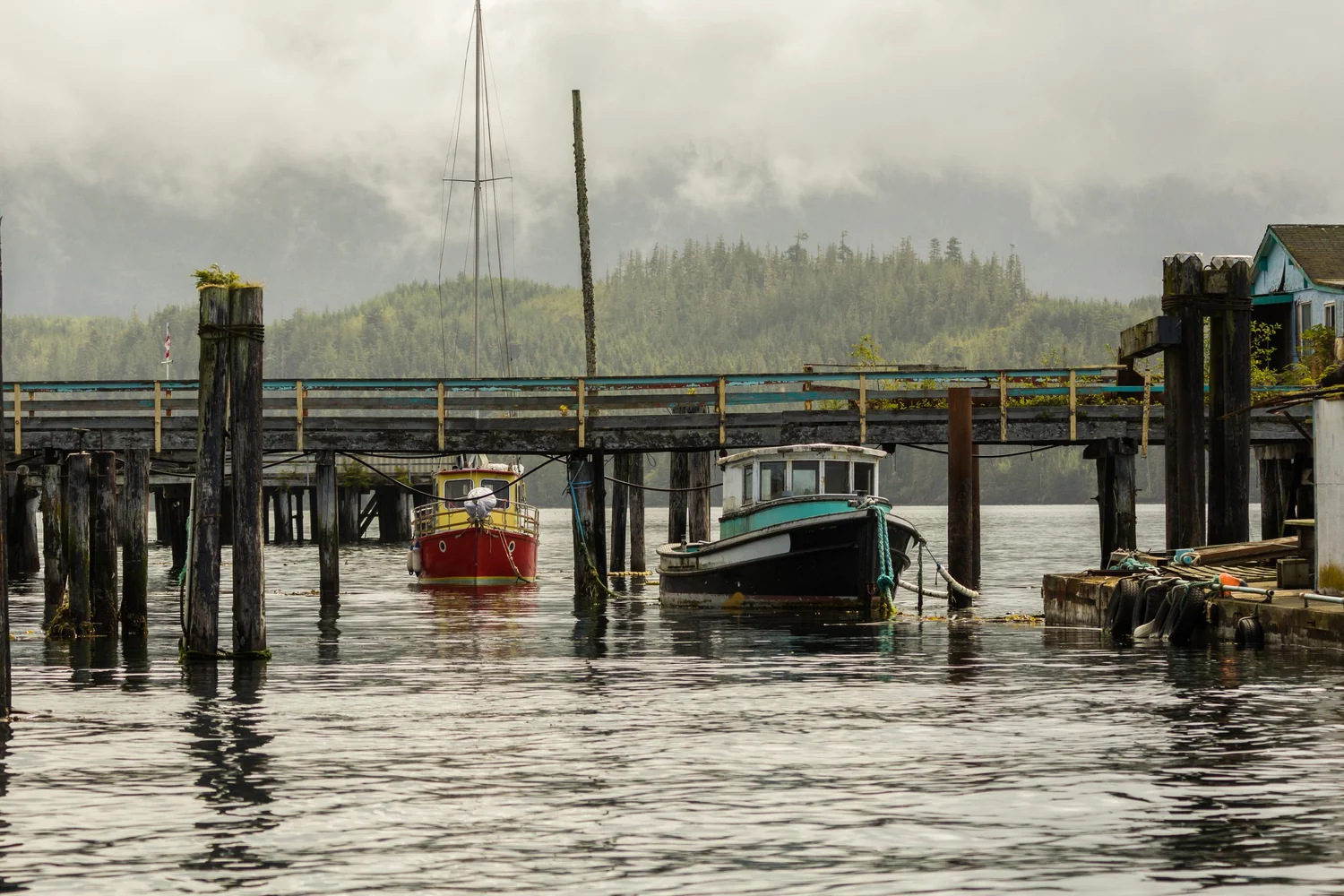 Places to Stay While Visiting Alert Bay — Seasmoke