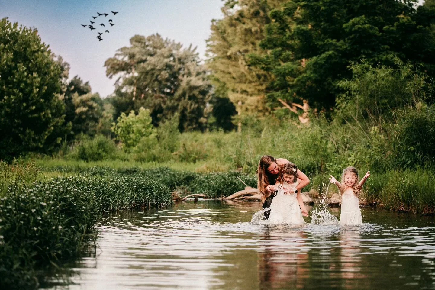 IRON LACE PHOTOGRAPHY