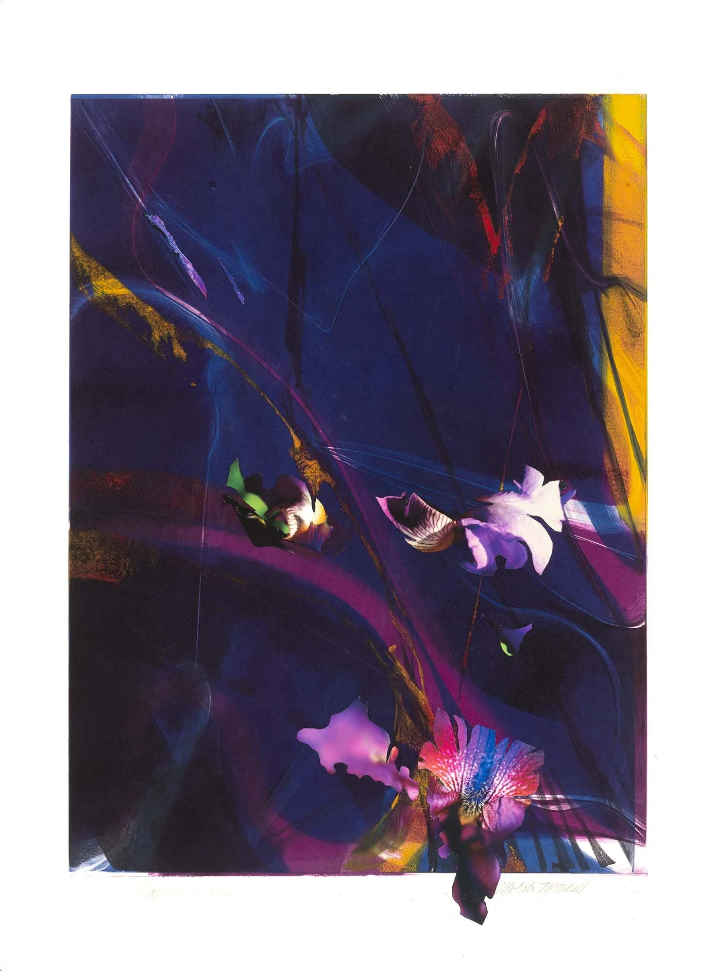 Artwork — Morris Mitchell