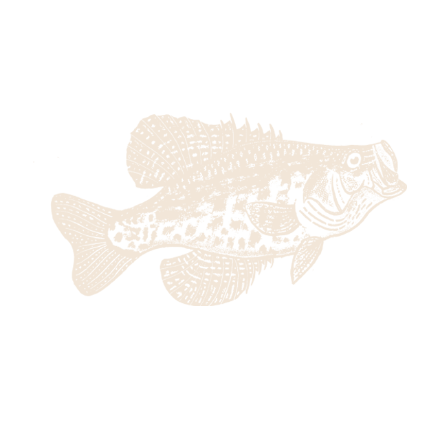 Hunting, Fishing & Outdoors Branding & Graphic Design | Texoma Design Co.