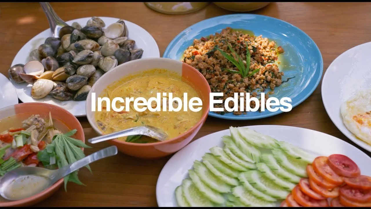 VICE Munchies - The Incredile Edibles — Documentary Cinematographer ...