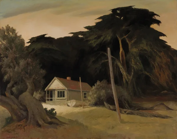 Rick Amor - Artist Biography - Liverpool Street Gallery, Sydney ...