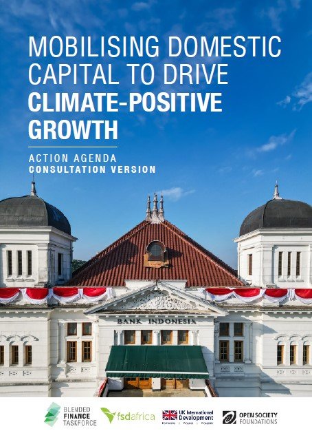 Mobilising domestic capital to drive climate-positive growth - action ...