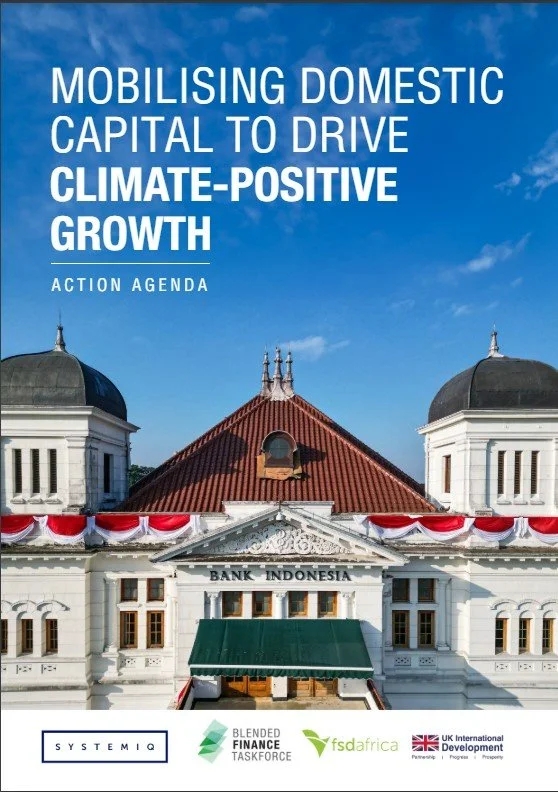 Mobilising domestic capital to drive climate-positive growth - action ...