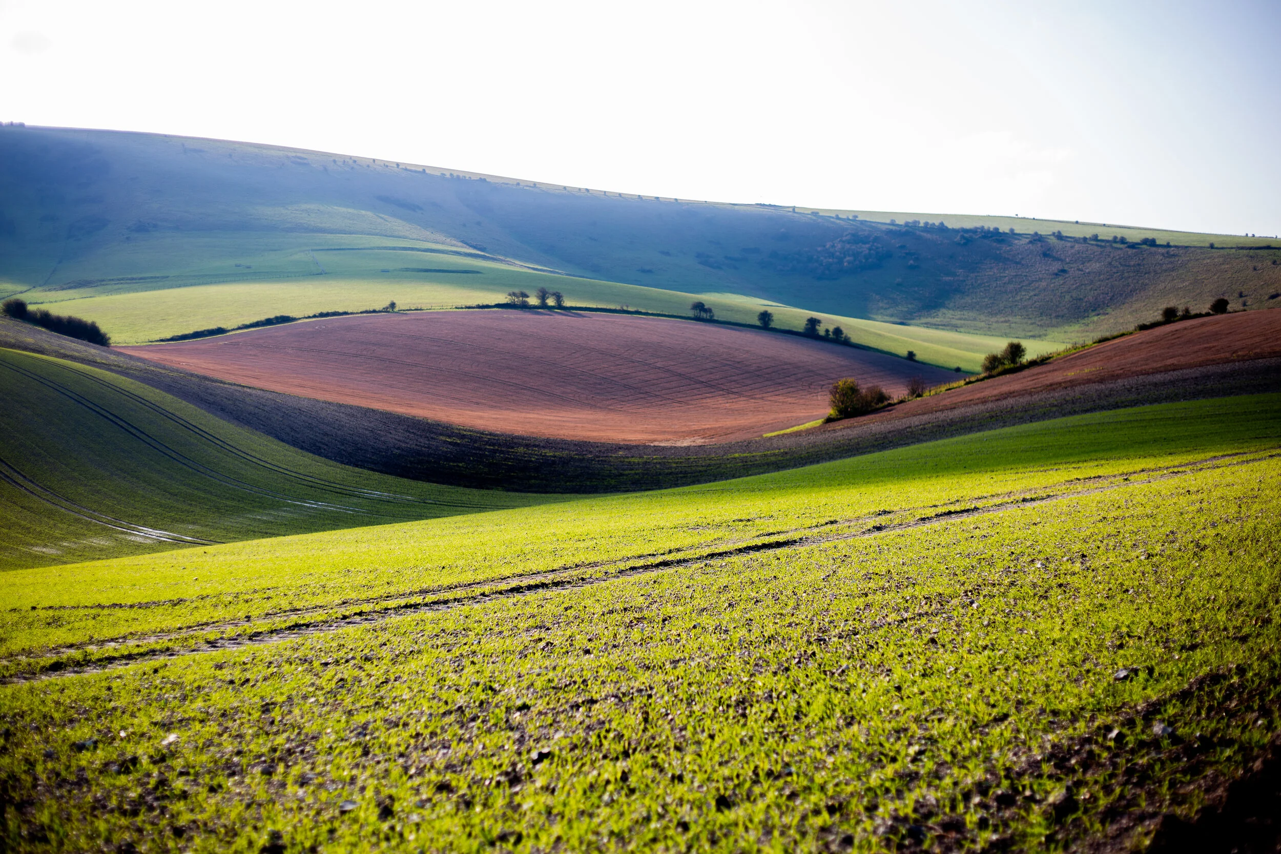 The Magic of the South Downs — The Grain Store Lewes