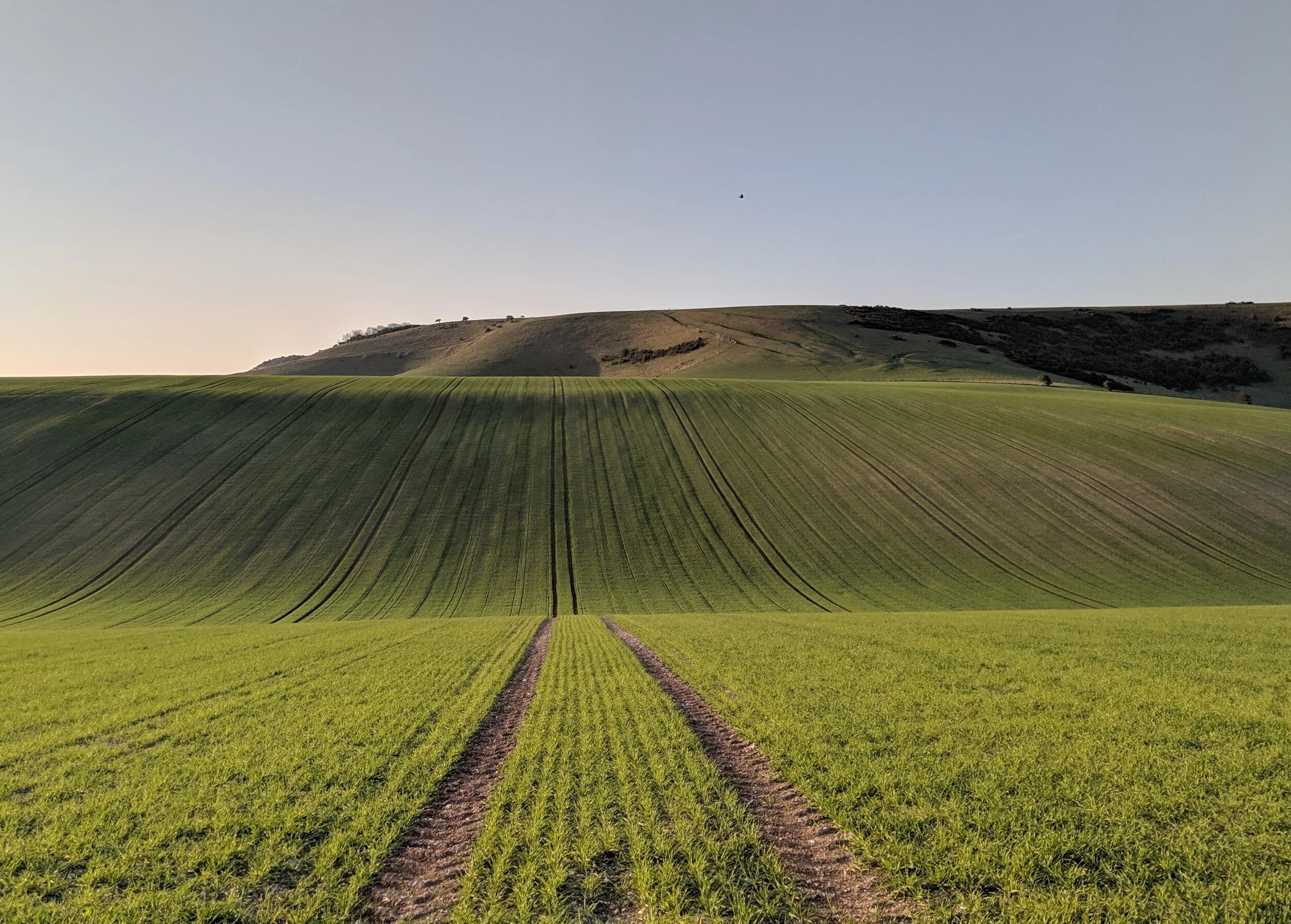 Three of the Best South Downs Way Walks from The Grain Store Lewes ...