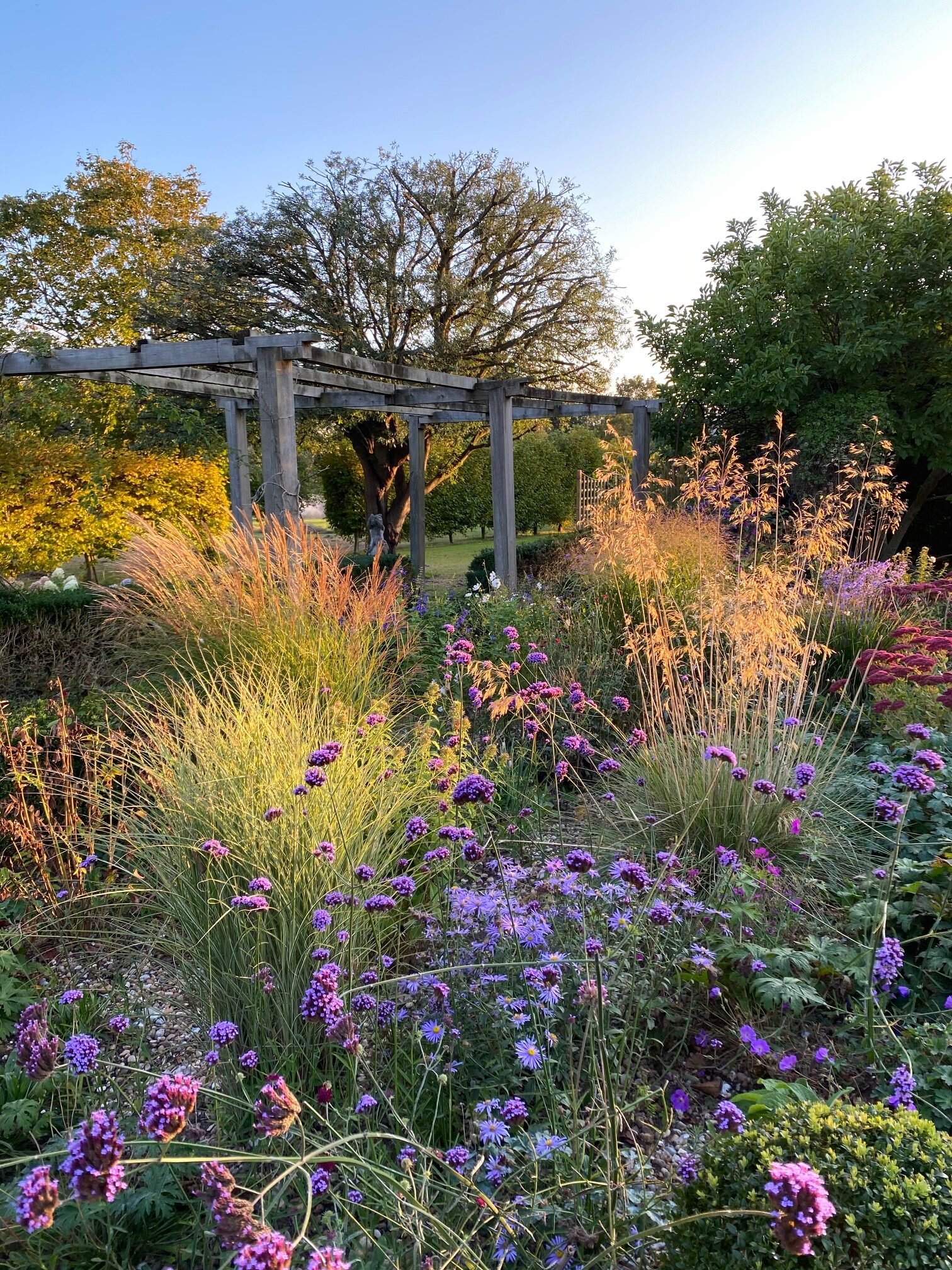 Explore the Best Gardens in East Sussex with Keen Gardener Amy Bell ...