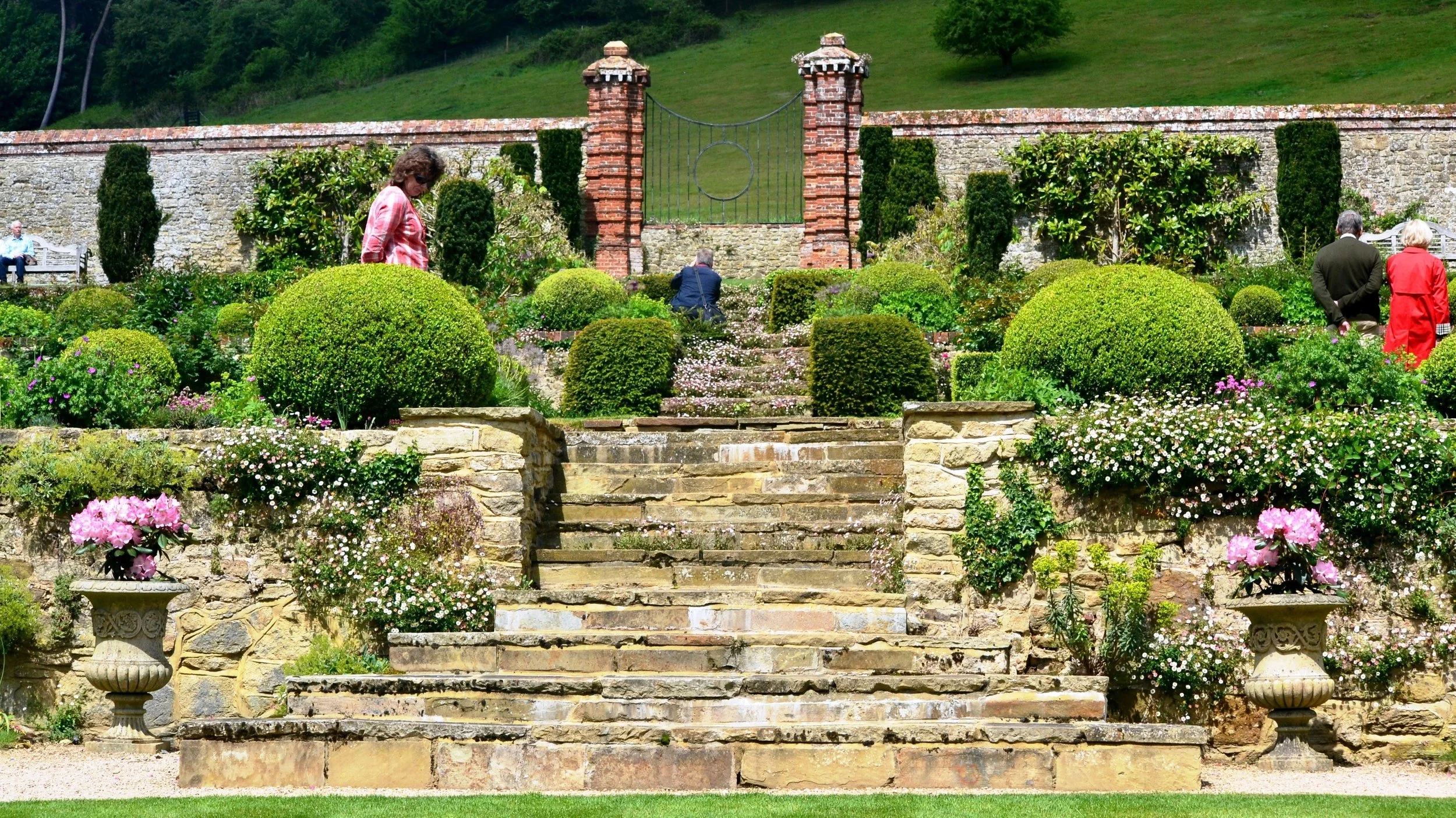 Top tourism attractions to visit in Surrey — Surrey Hills Vineyards