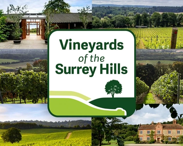 Visit the Vineyards of the Surrey Hills wine route — Surrey Hills Vineyards