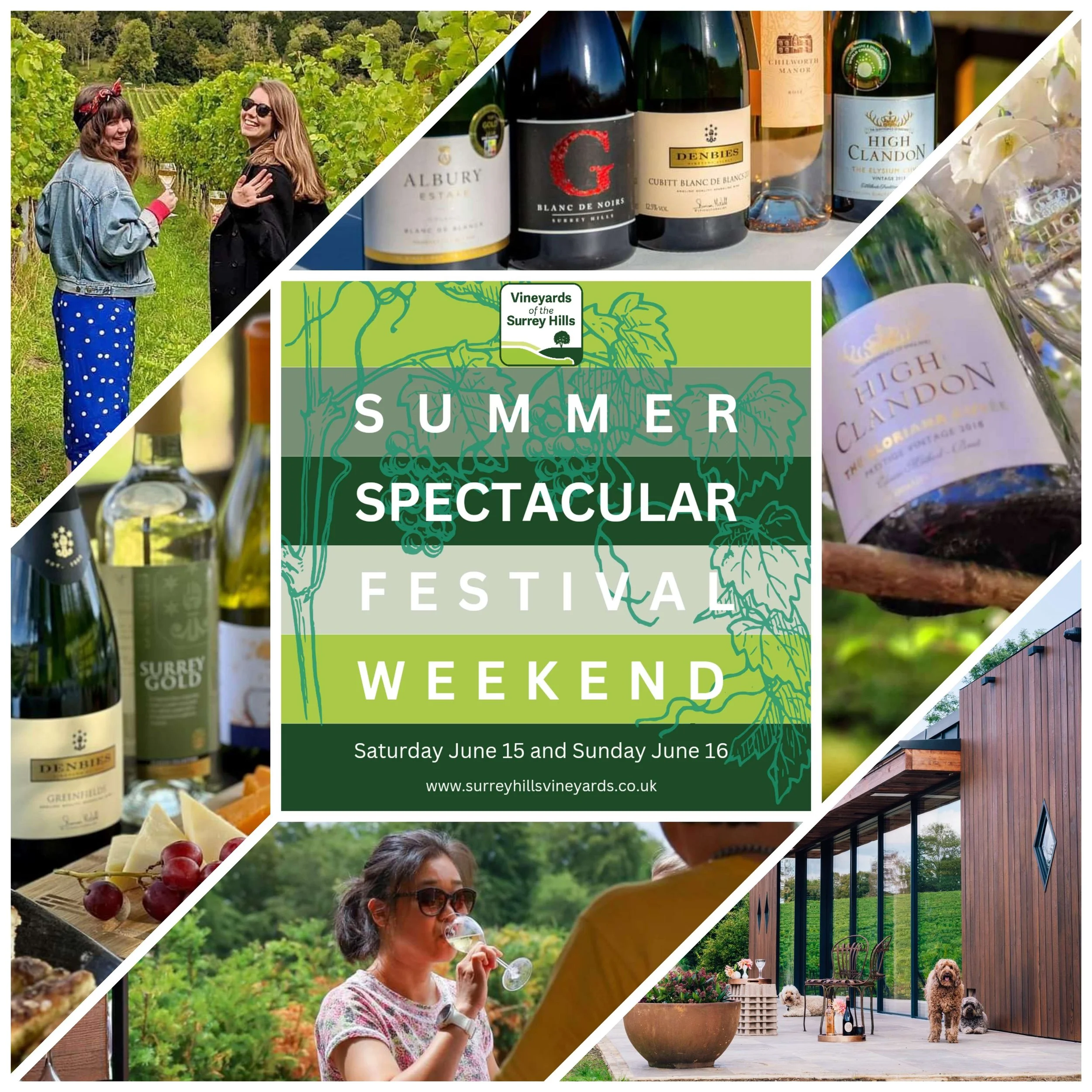 Wines of the Surrey Hills — Surrey Hills Vineyards