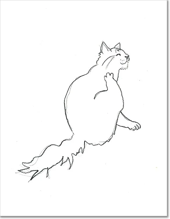 cat scratching drawing