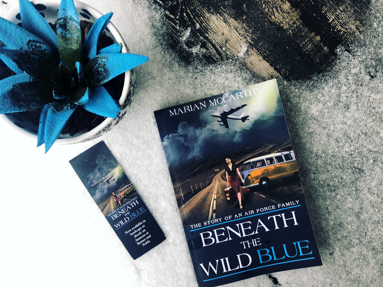 Wild Blue Book