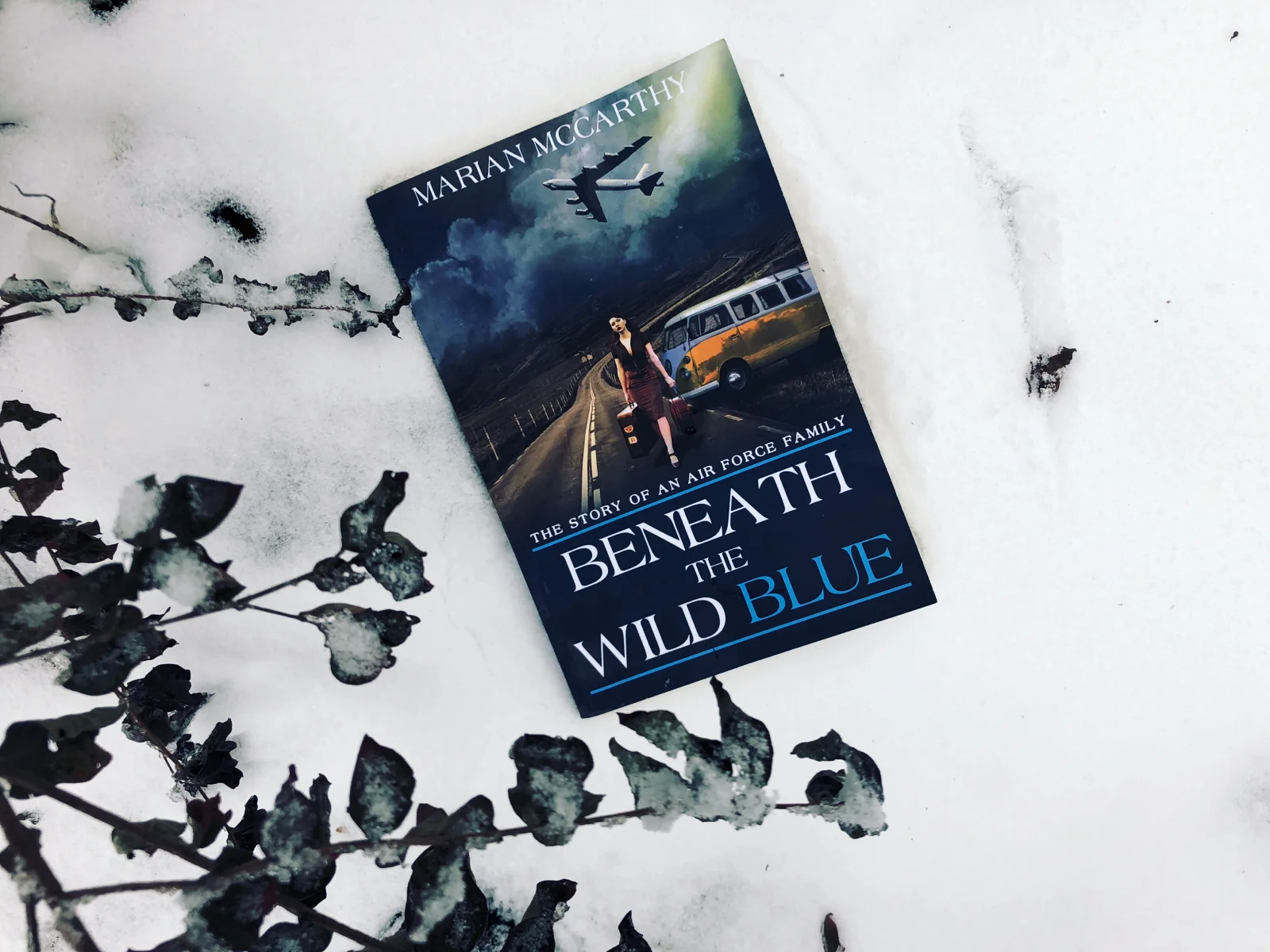 Wild Blue Book