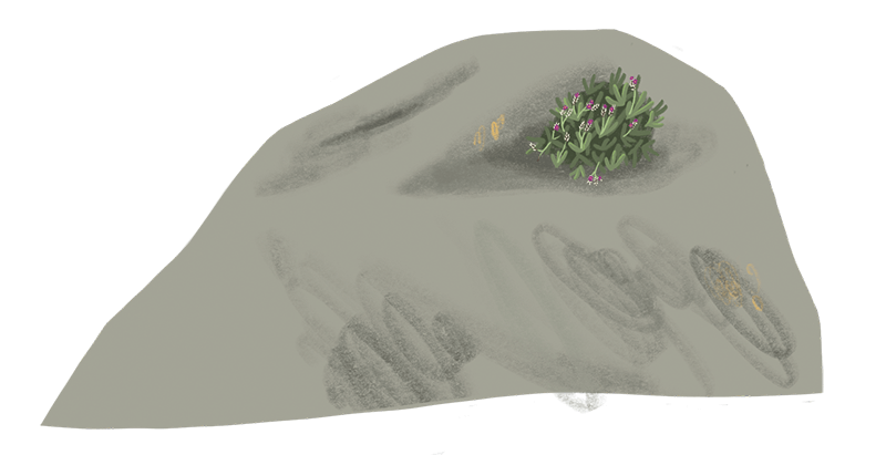 B-SIDE / Portland Bill Map — Rachel Akerman