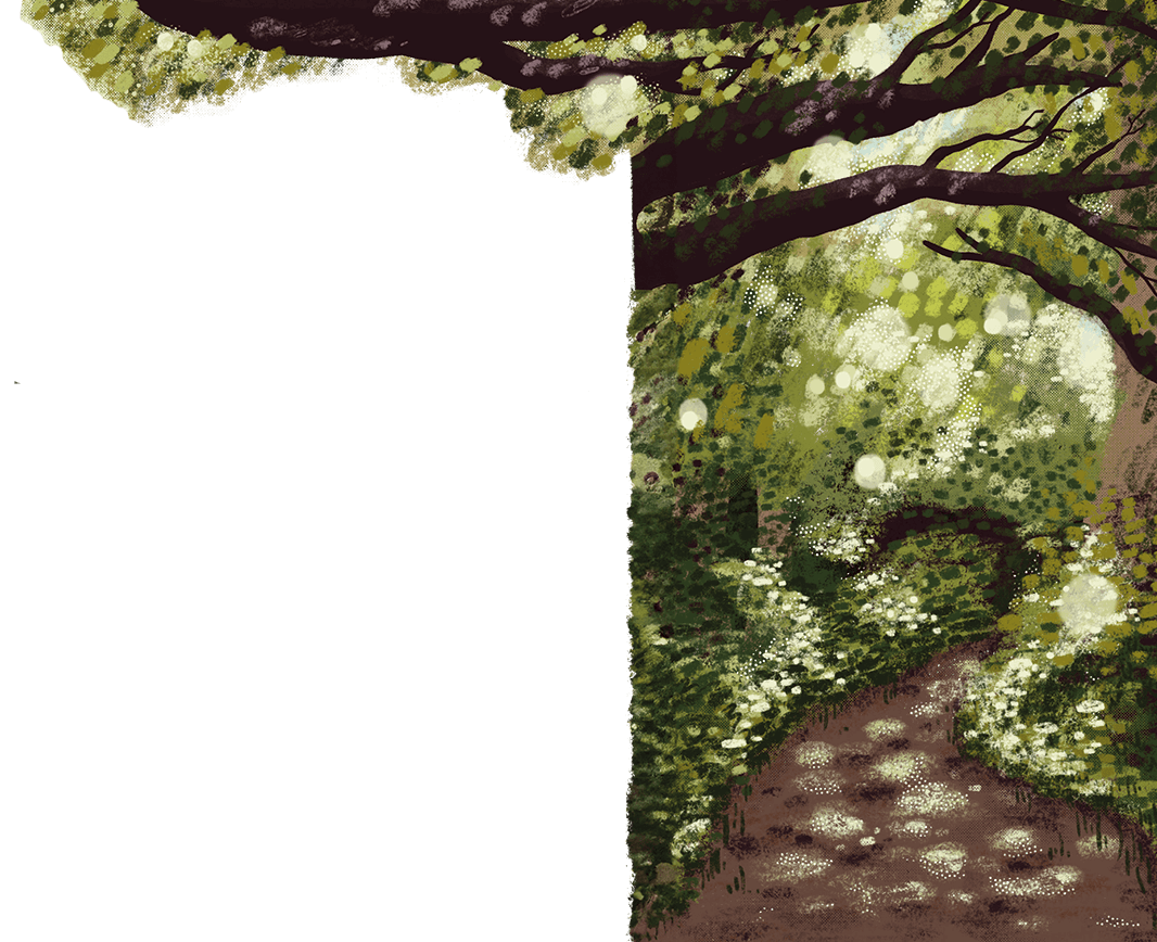 CREWKERNE COUNCIL / Nature Reserve Map — Rachel Akerman