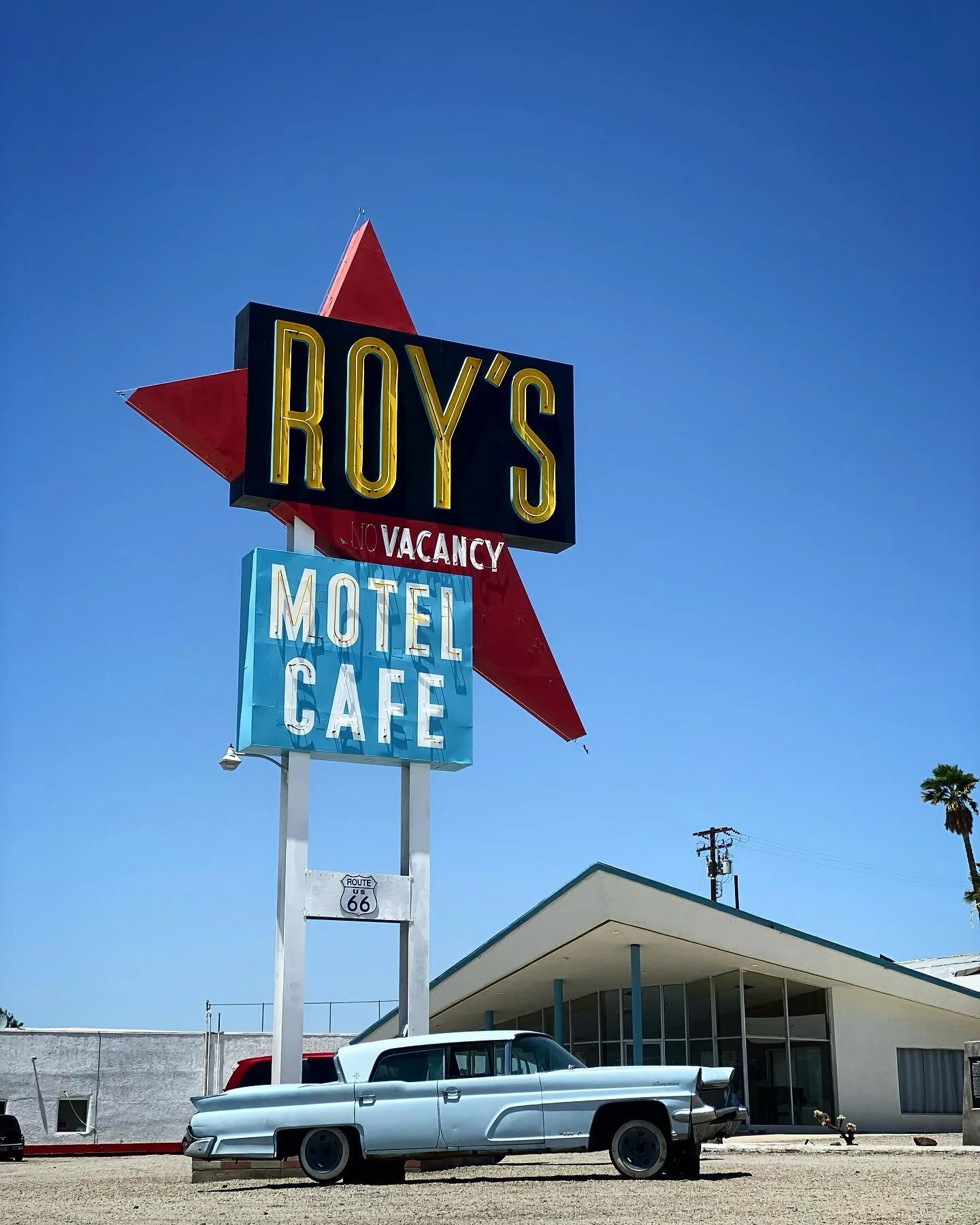 Amanda René Photography