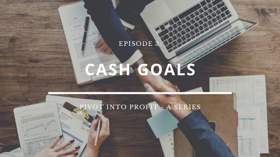 Pivot Into Profit– Episode 3 — Pivot Business Group, Inc