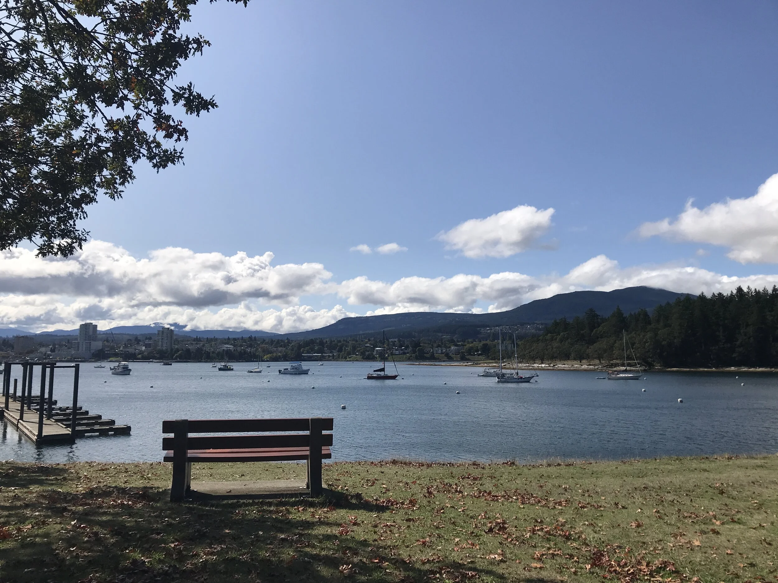 My New Year's resolution? Reconnecting with friends — Caitlin Elizabeth ...