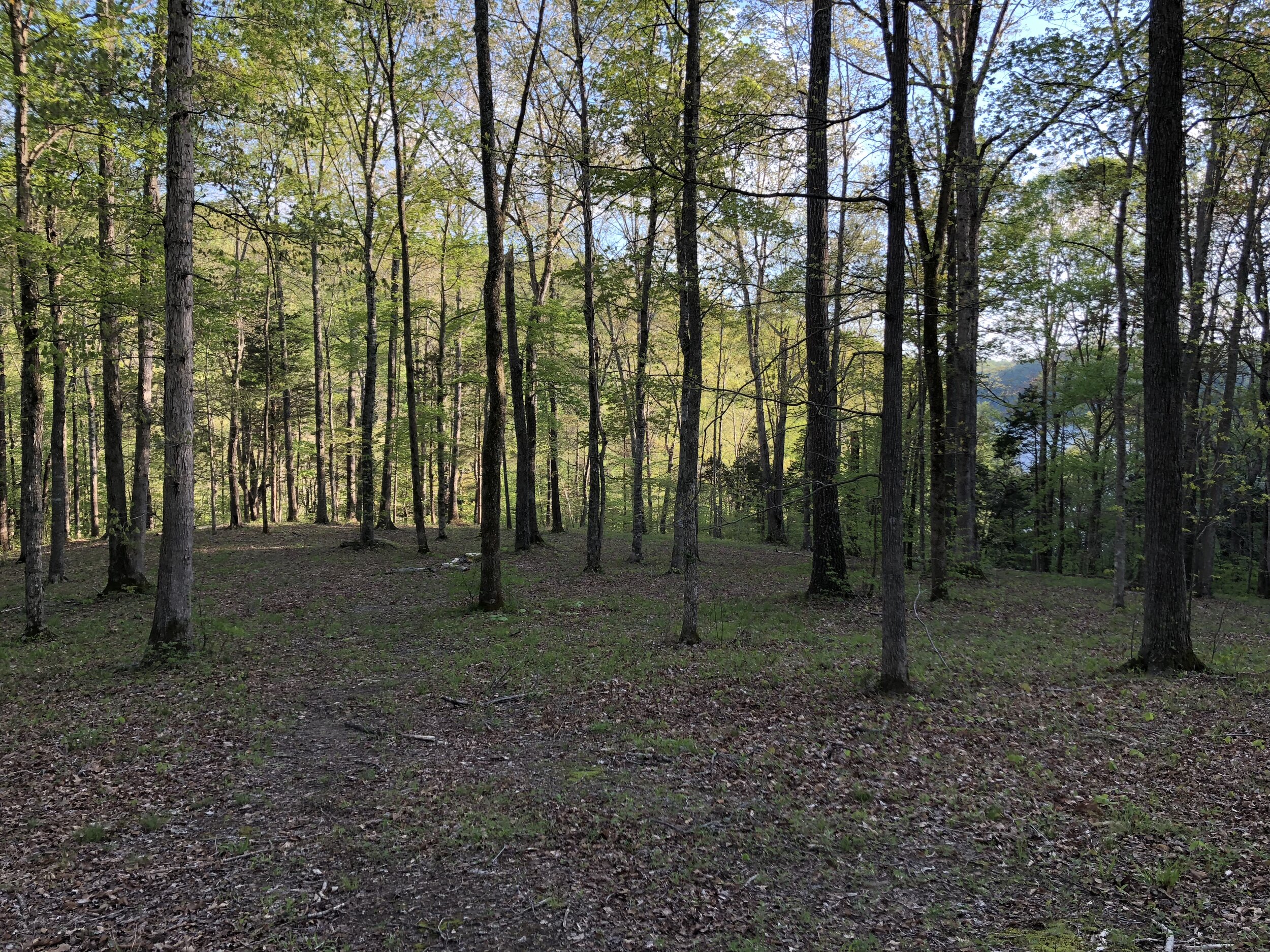 Overview — Hidden Ridge Camping At Lake Cumberland