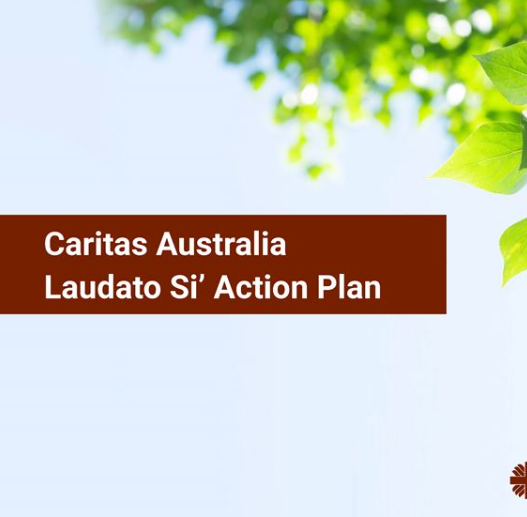 Caritas' Laudato Si' Action Plan aims to create 'ripple effect' for ...