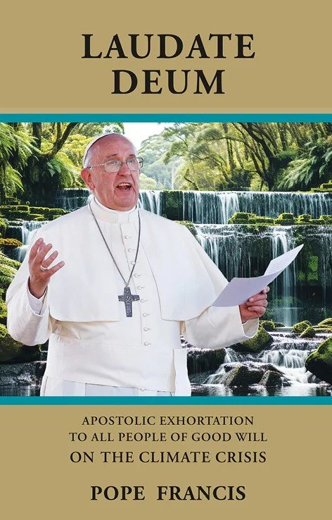 Laudato Si Action Platform — Catholic Religious Australia