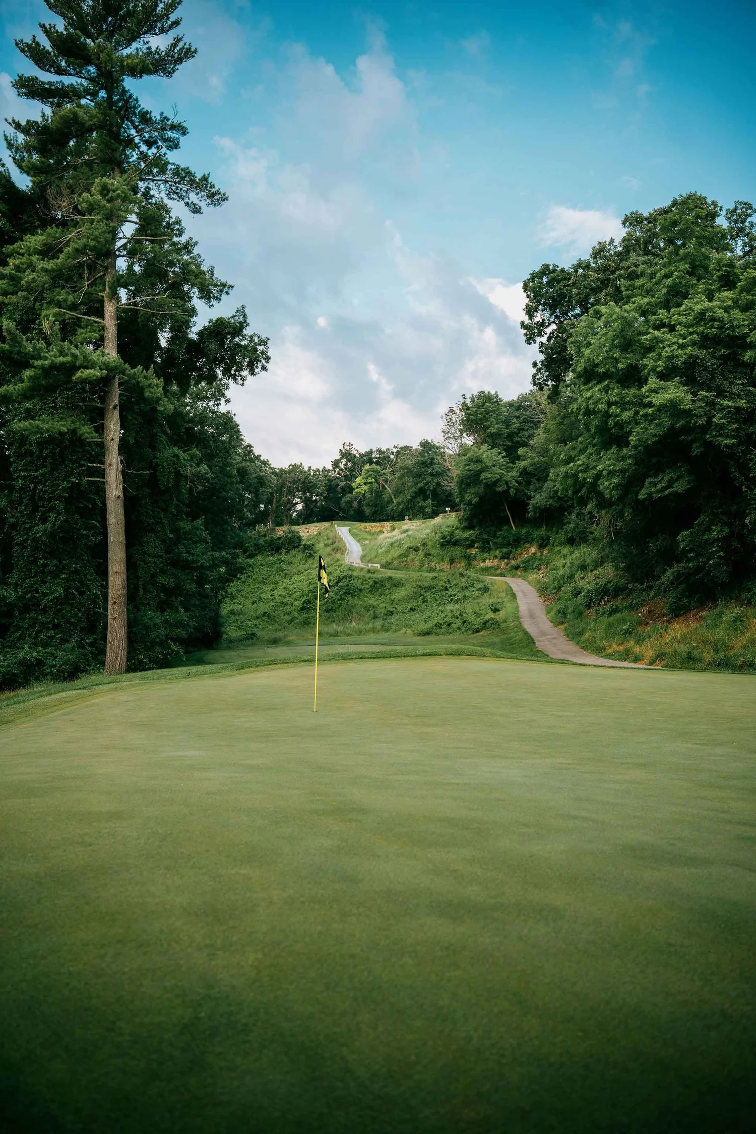 Book Golf — Lawsonia