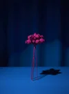 Danny Bird - Still life photographer — Danny Bird