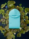Danny Bird - Still life photographer — DANNY BIRD