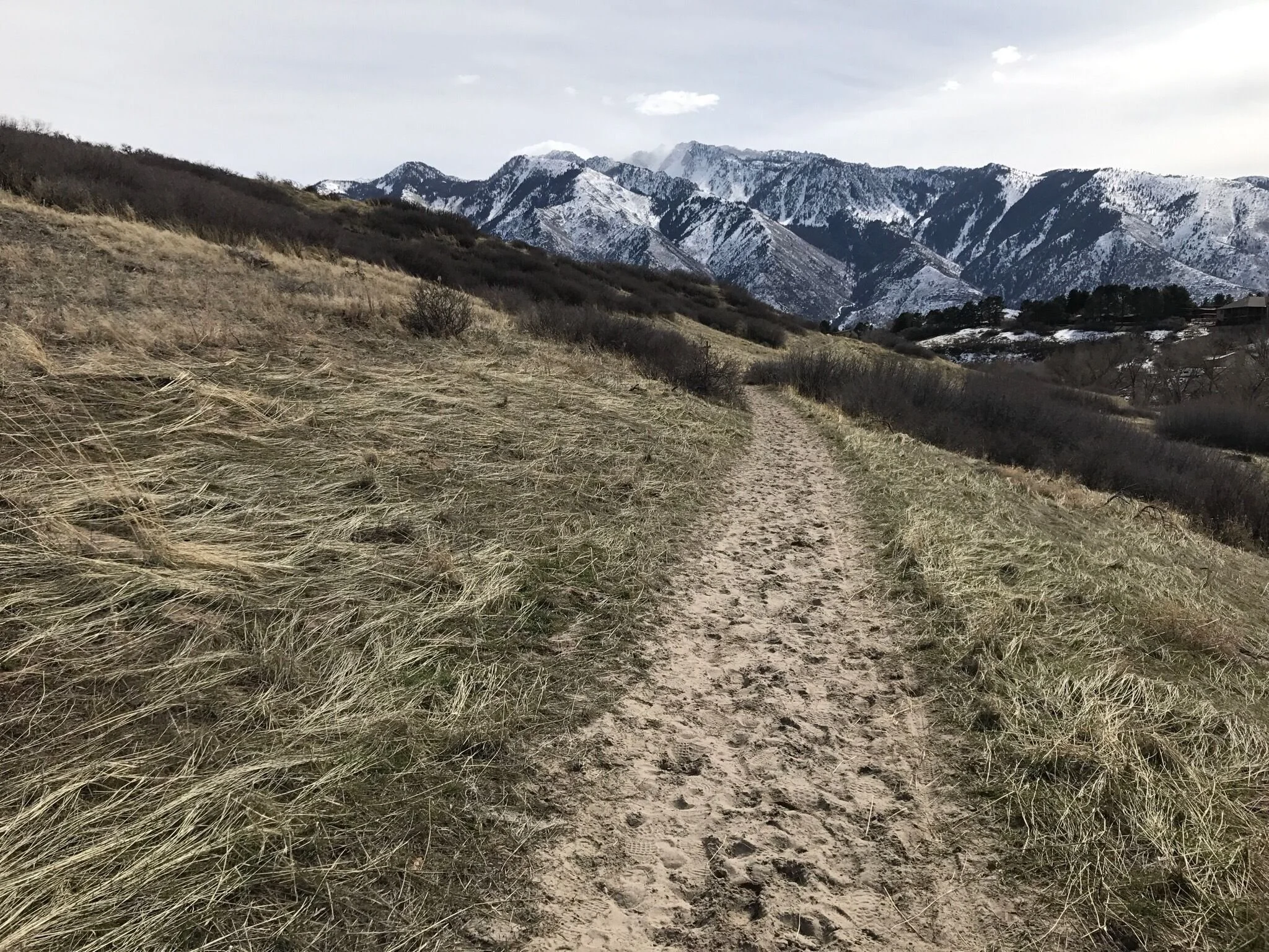 Schedule — Orienteering Utah