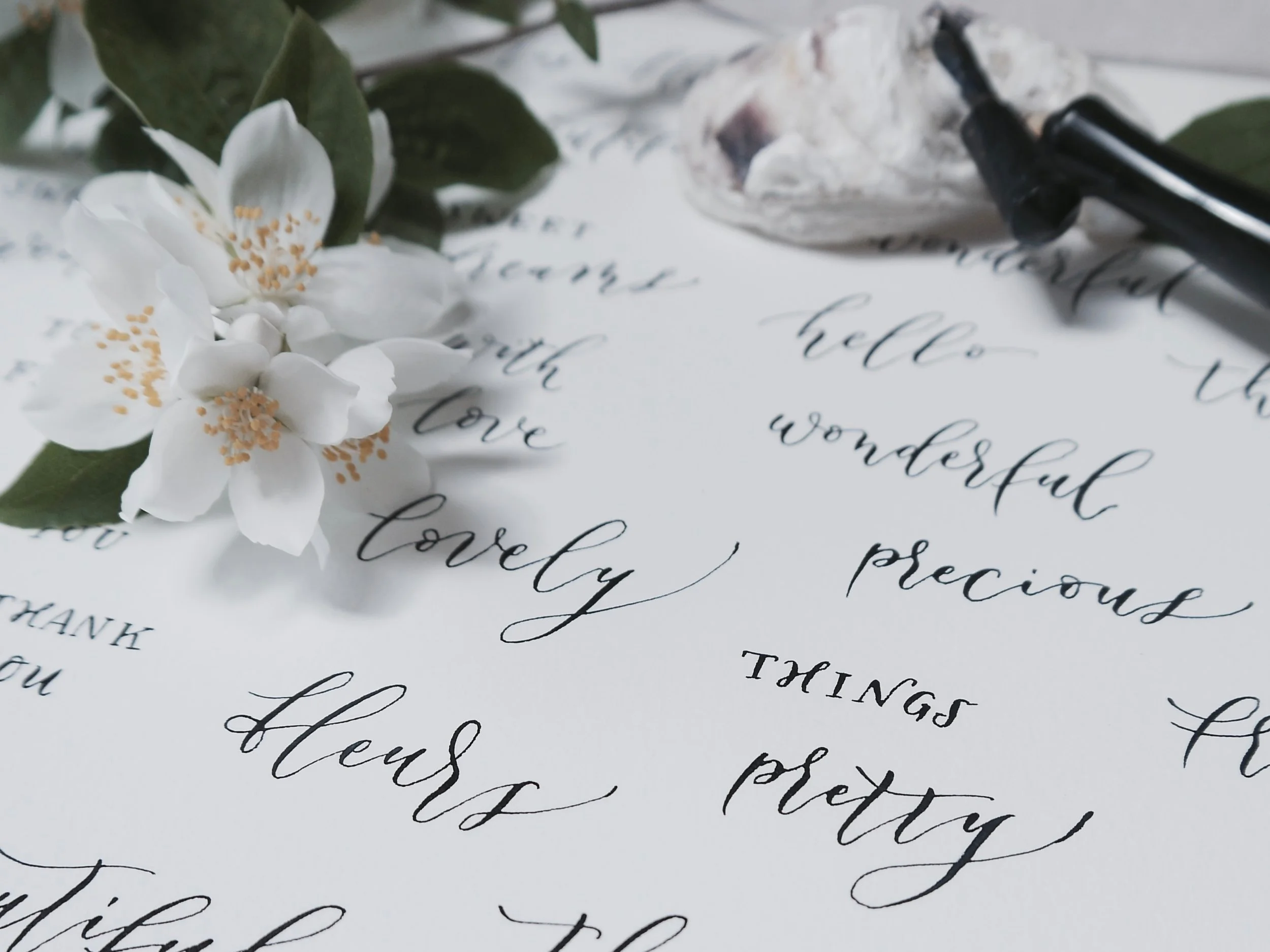 Reasons to Learn Modern Calligraphy — Mirabelle Makery