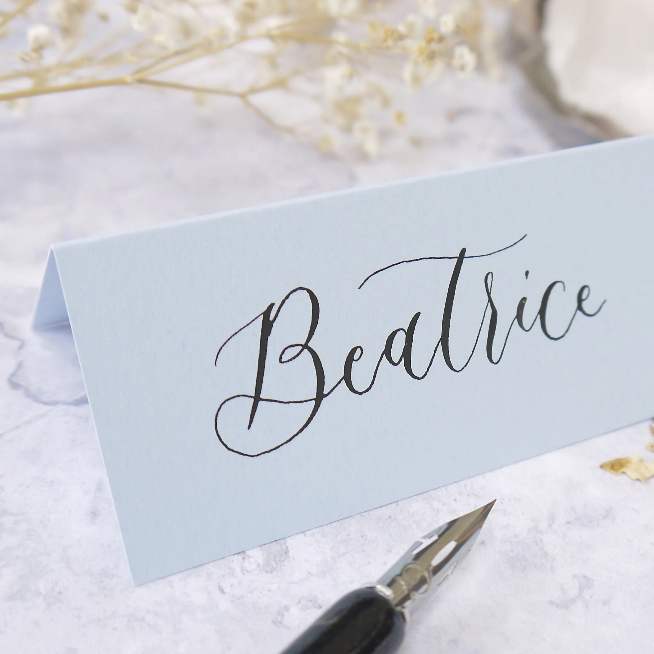 Calligraphy Name Place Cards — Mirabelle Makery