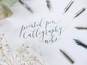 Pointed Dip Pen Calligraphy Nibs: A Beginner’s Guide to Choosing the ...