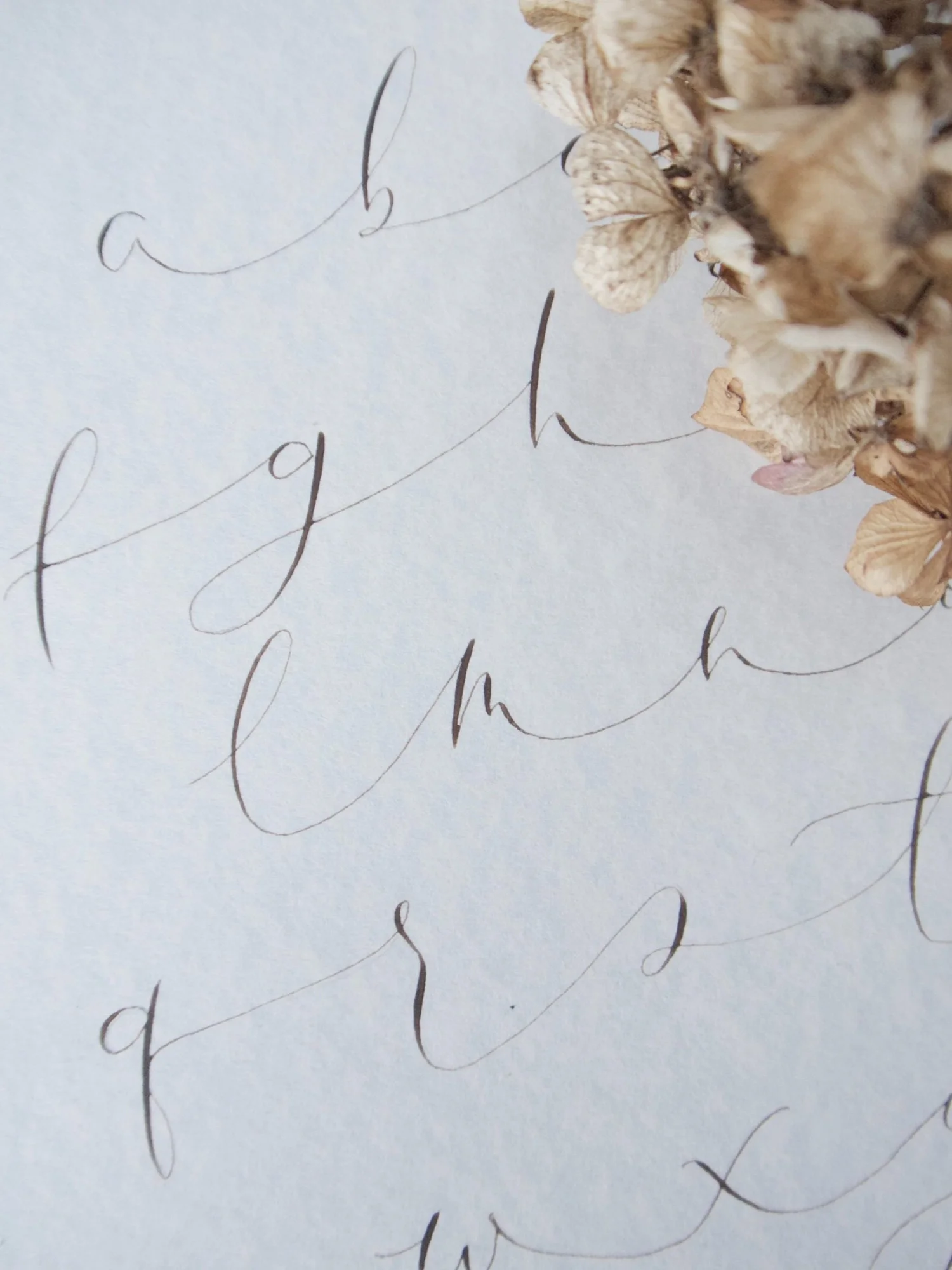 9 Compelling Reasons to Learn Modern Calligraphy Today — Mirabelle Makery