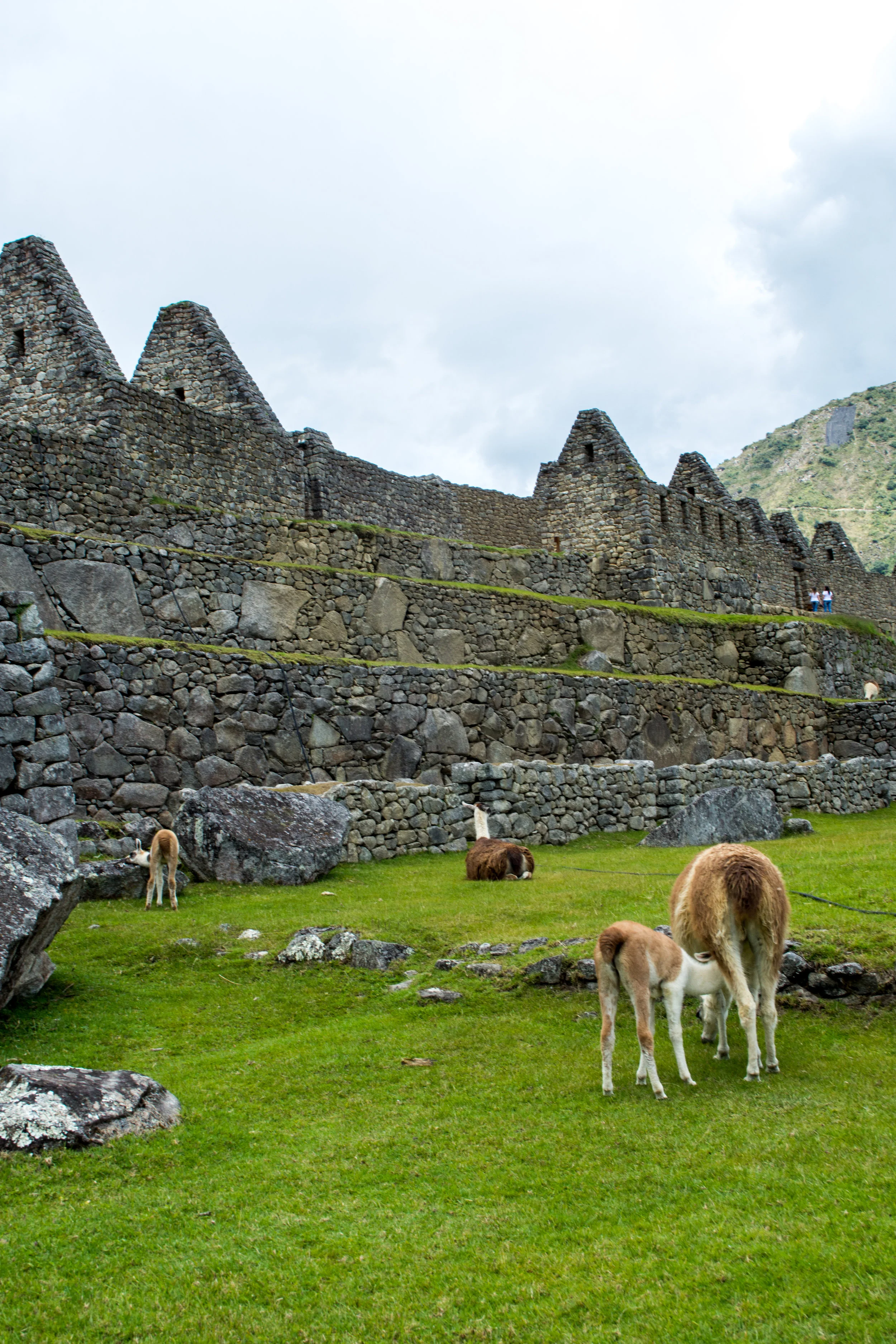 45 Photos That Will Inspire You to Visit Peru | A Happy Passport