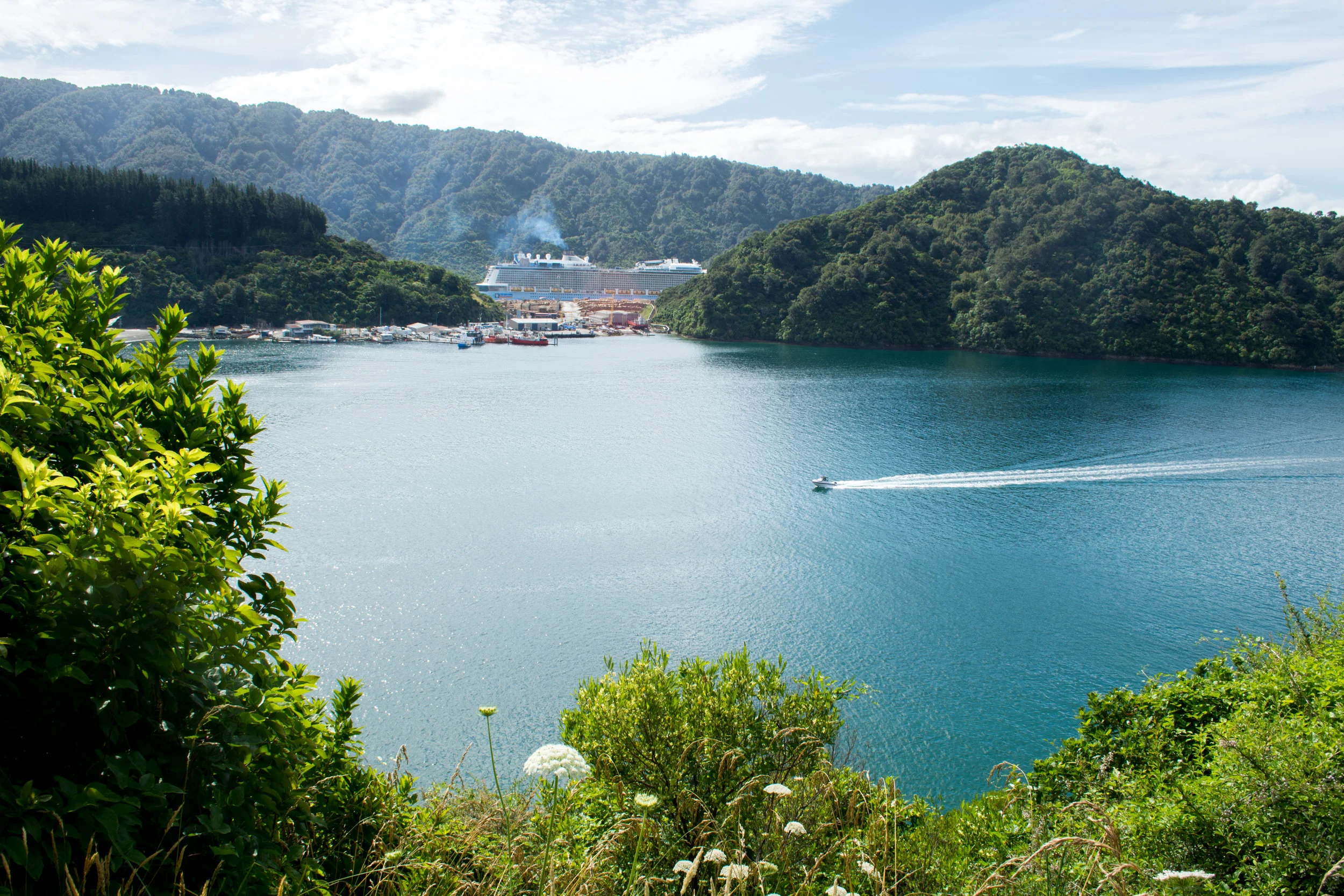 One Day of Hiking in Picton, New Zealand | DIY Shore Excursion | A ...