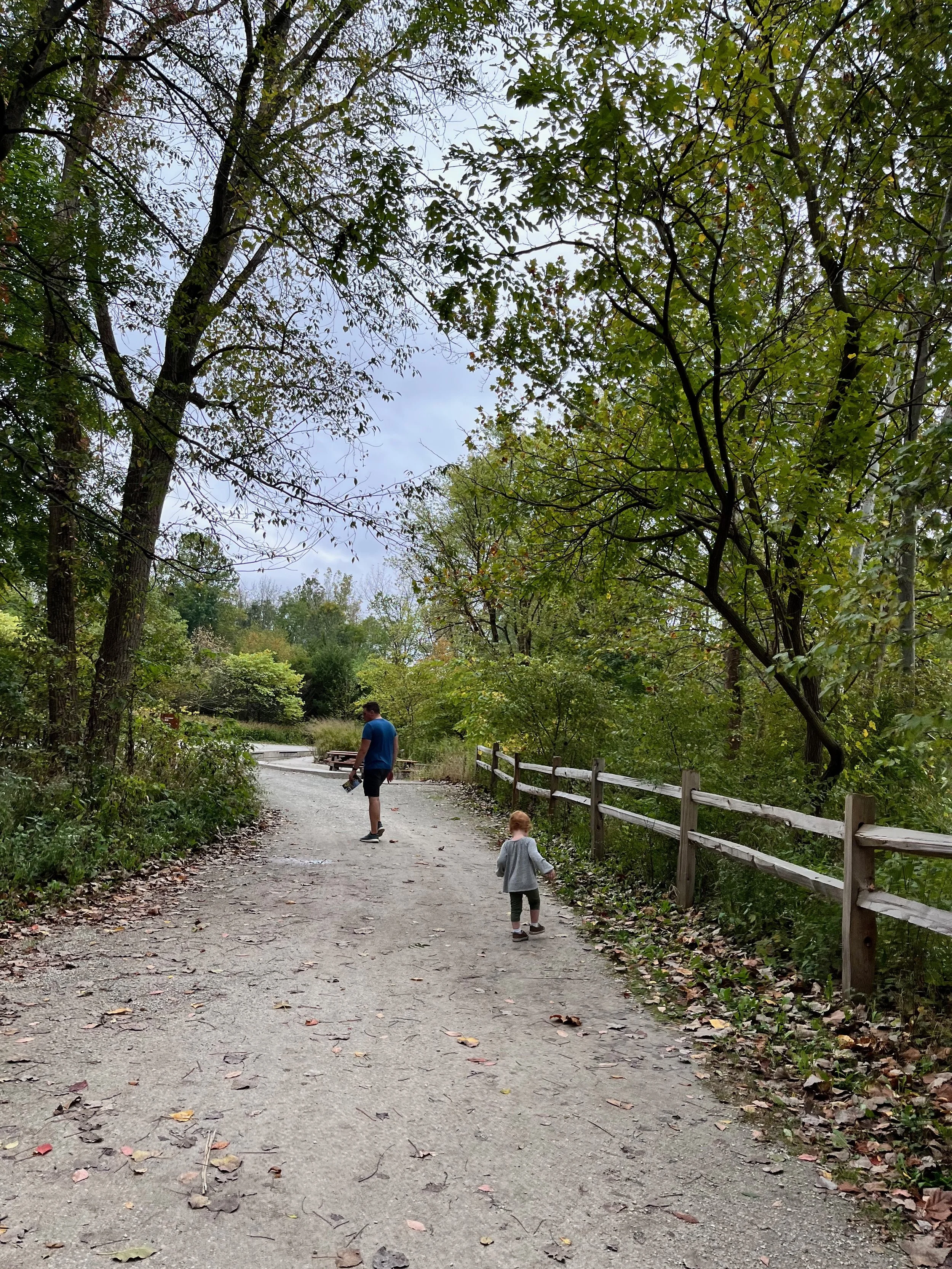 4-Day Fall Indianapolis Itinerary with Young Kids | A Happy Passport