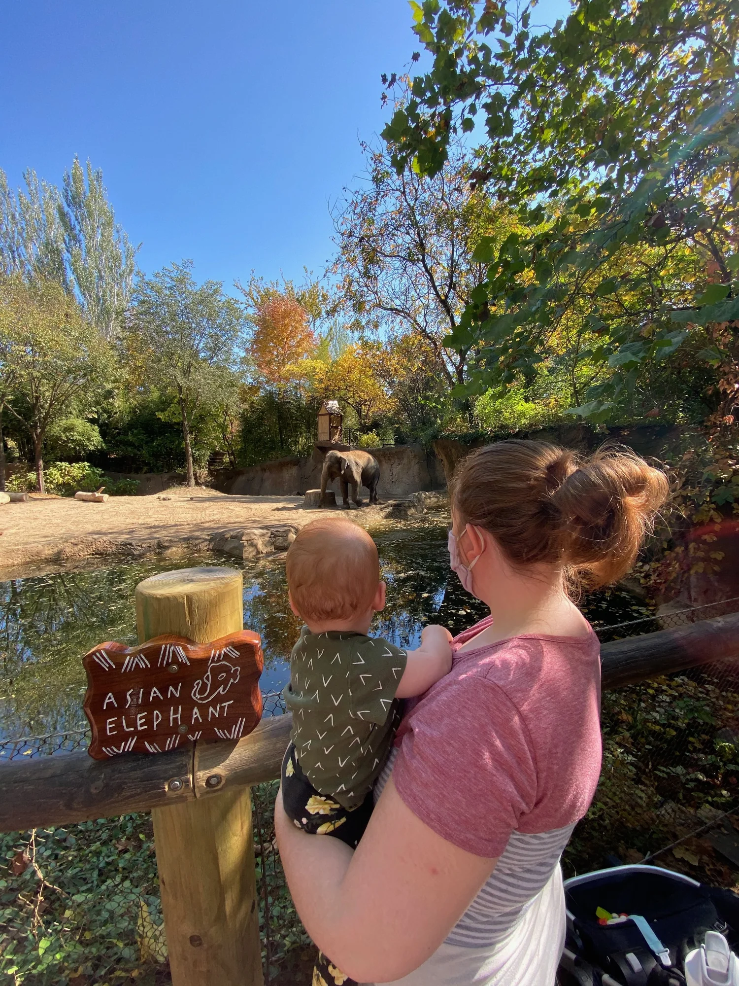 St. Louis Fall Foliage Guide: The Most Beautiful Places to See Autumn ...