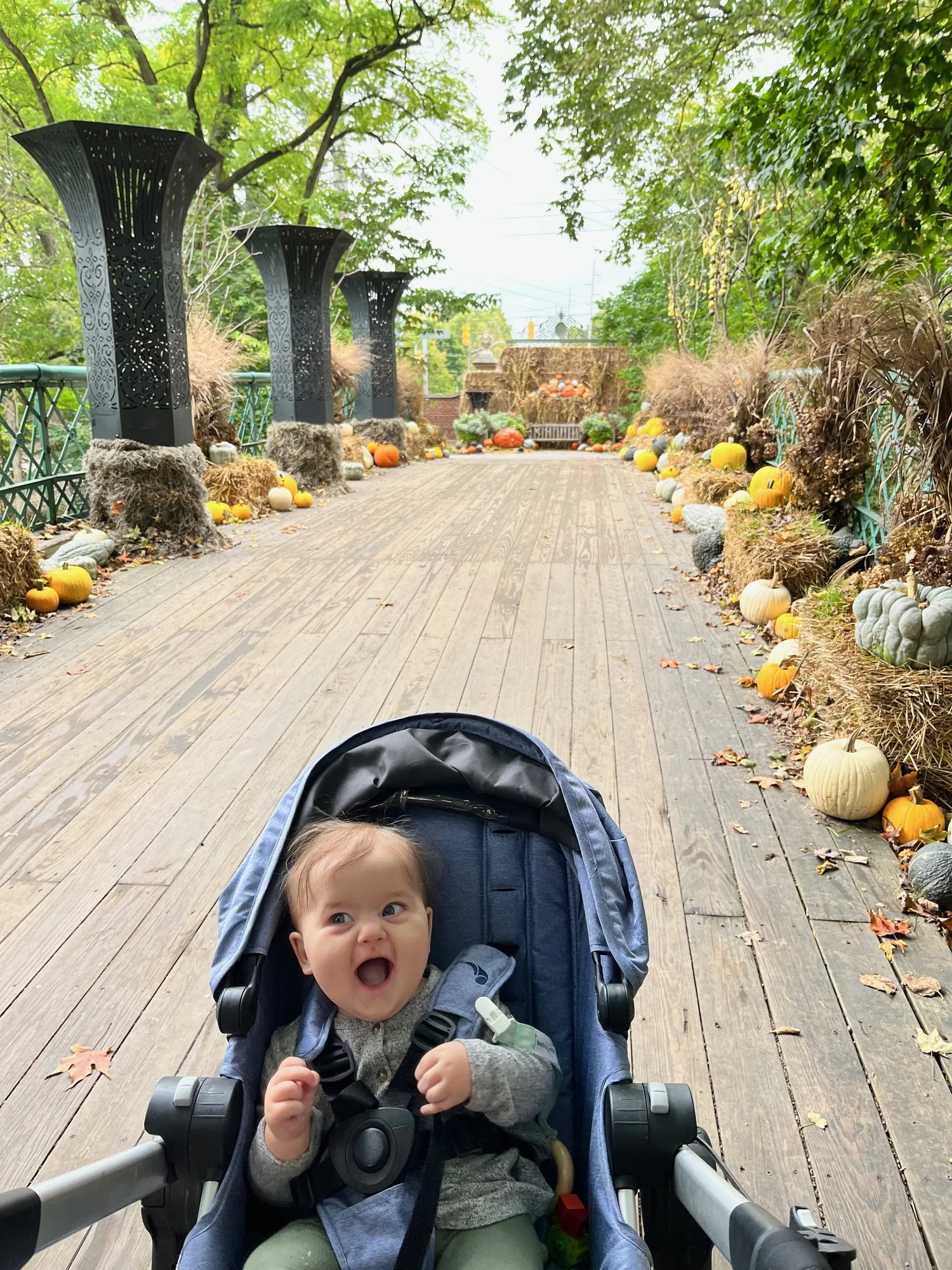 4-Day Fall Indianapolis Itinerary with Young Kids | A Happy Passport