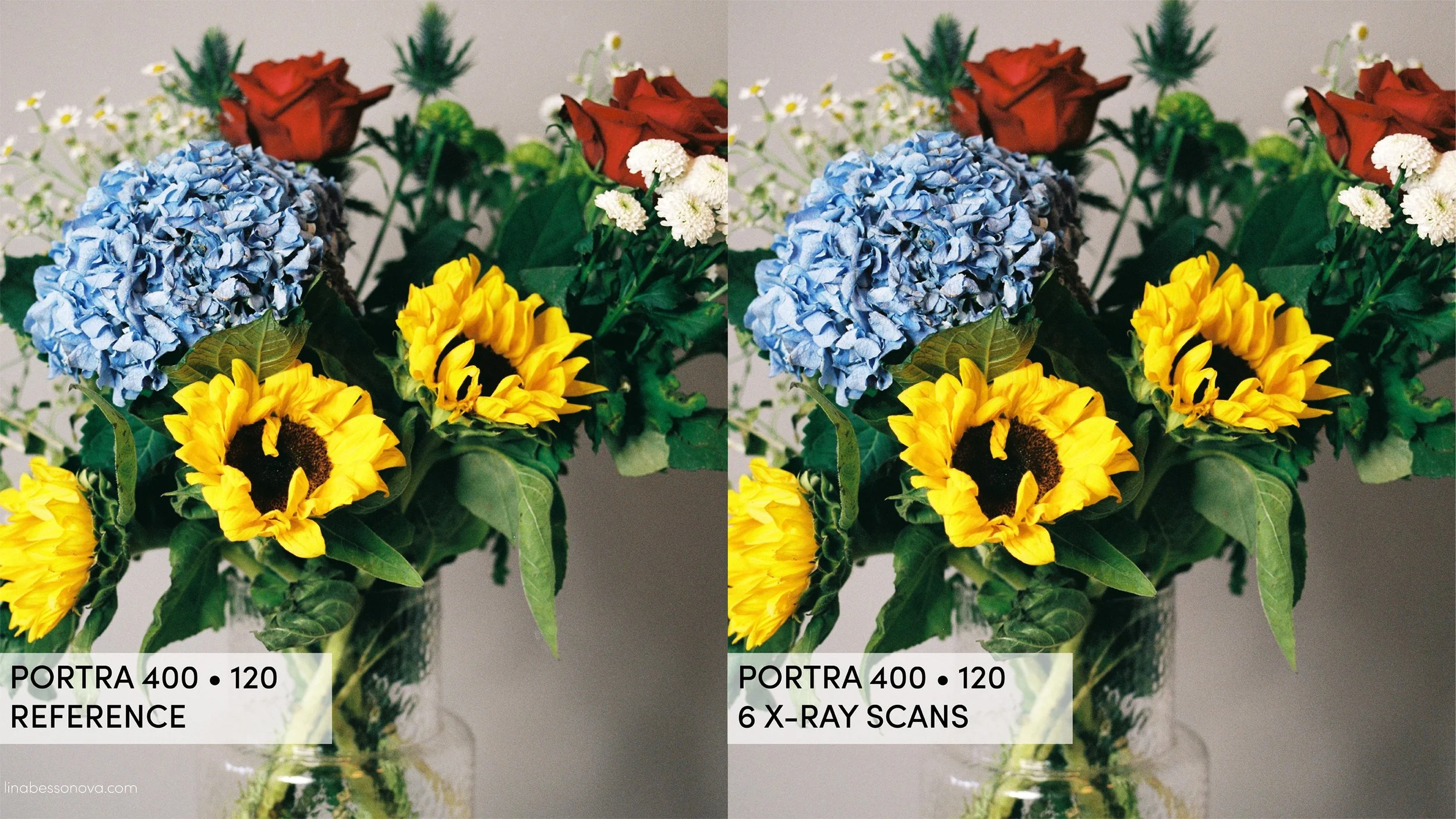 Flying With Film: Testing the Airport CT & X-ray Scanner Damage — Lina ...
