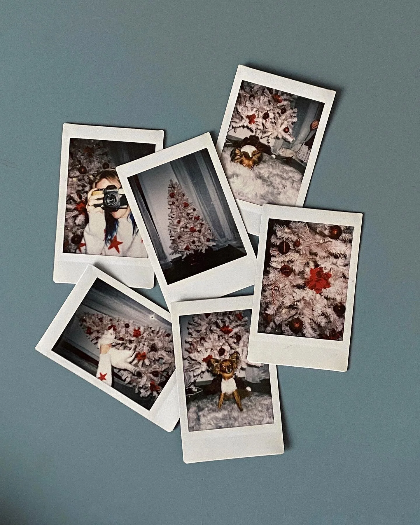 About — Lina Bessonova