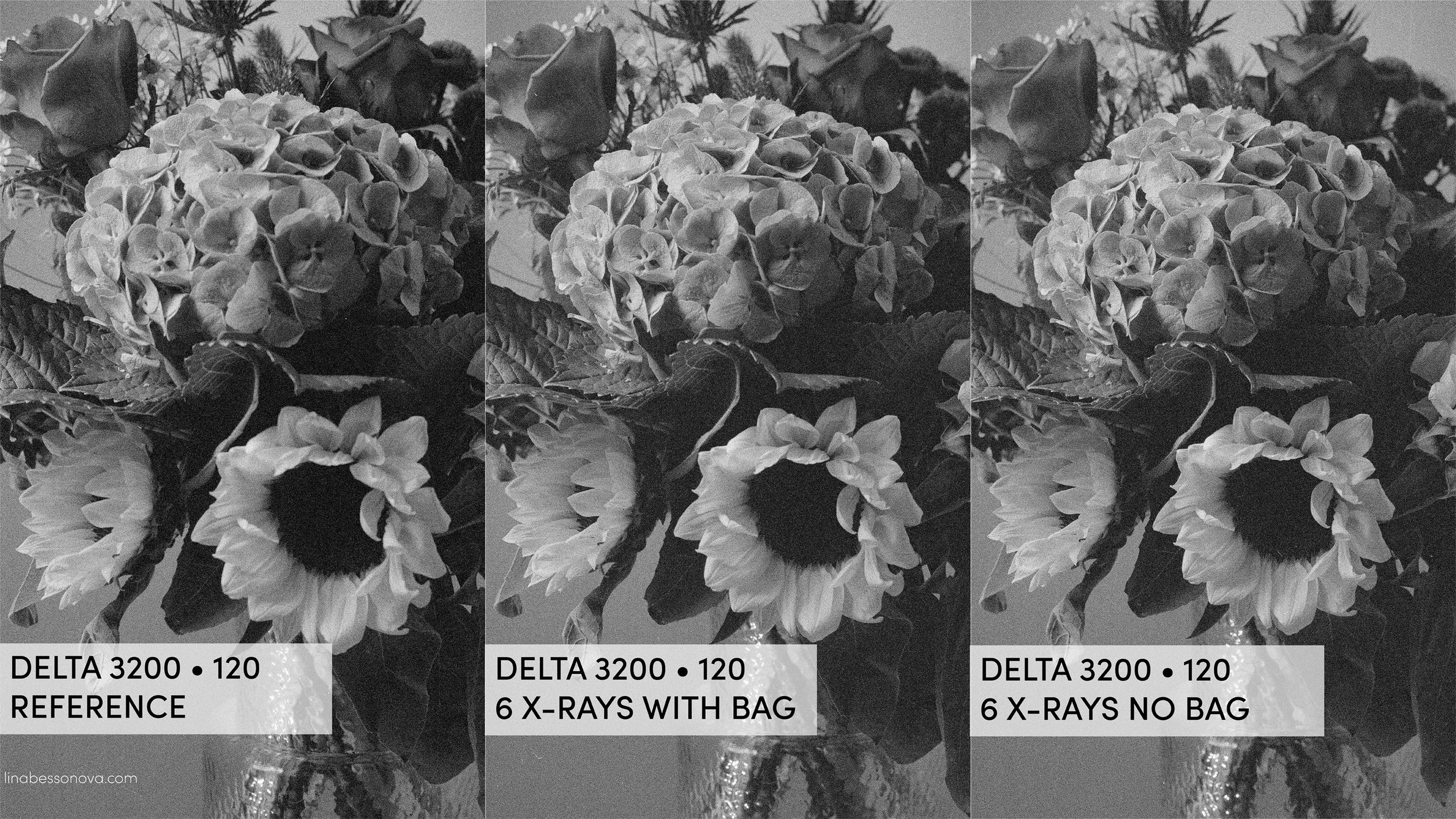 Flying With Film: Testing the Airport CT & X-ray Scanner Damage — Lina ...