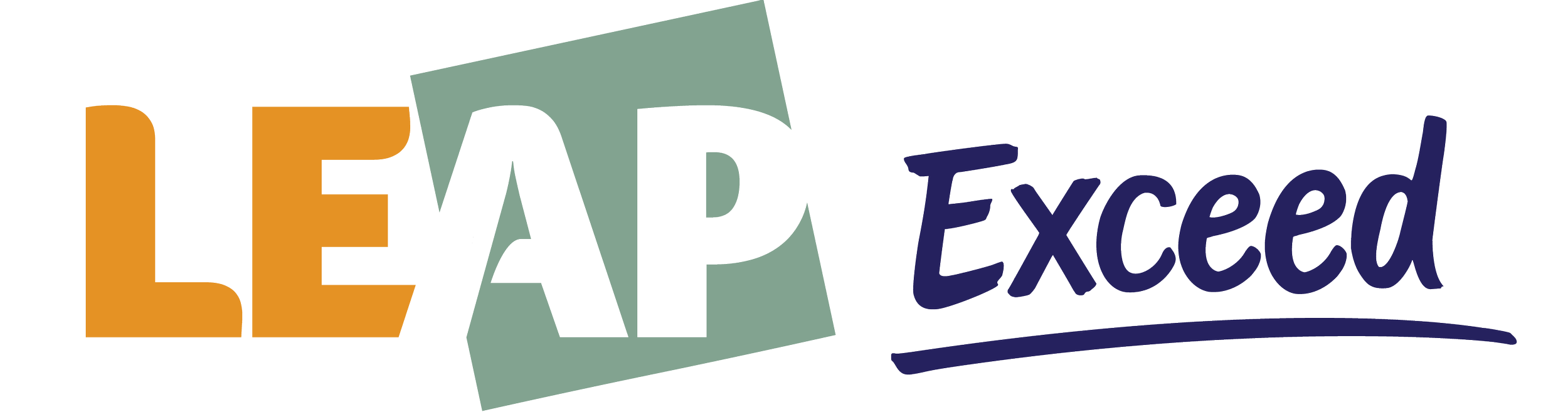 About LEAP Leadership Programs — LEAP