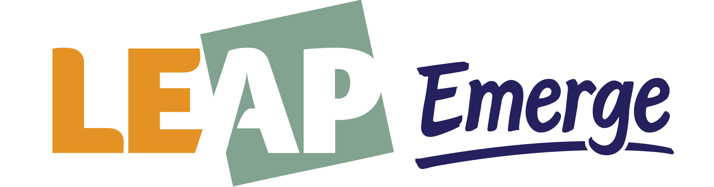 LEAP Emerge Fellowship — LEAP