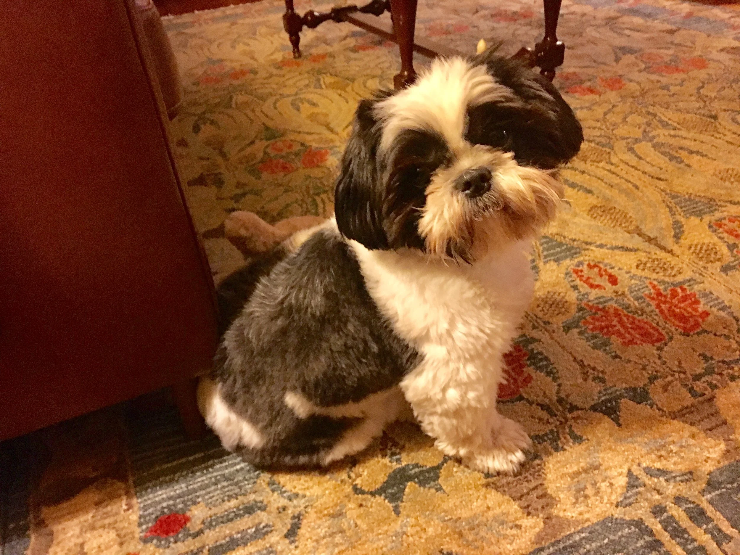 Jake Erwin, Attorney at Law | Greenville & Upstate SC