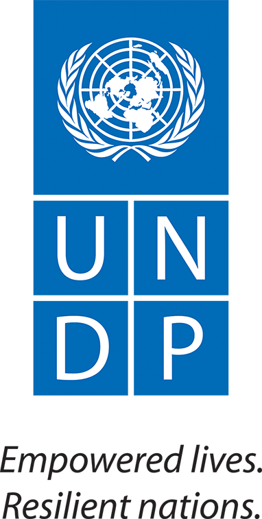 Undp Logo High Resolution